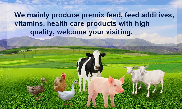 Goat Multivitamin Fattening Cattle Weight Gainer For Goats Booster Of ...