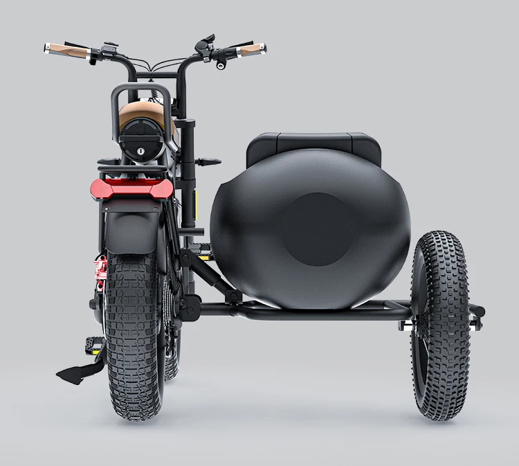 Factory Direct Supply Sidecar for 3 Wheel Electric Bike - Compatible ...