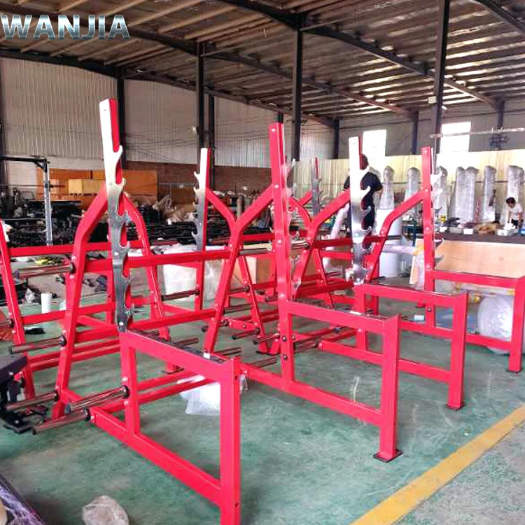 Adjustable Incline Squat Rack System With Multiple Angle Settings for ...
