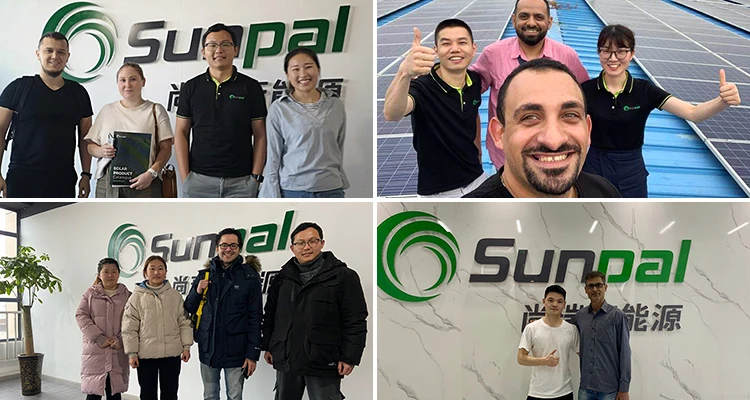 Sunpal 48V Lithium Ion Phosphate Battery Pack - 100Ah & 200Ah, 10-Year ...