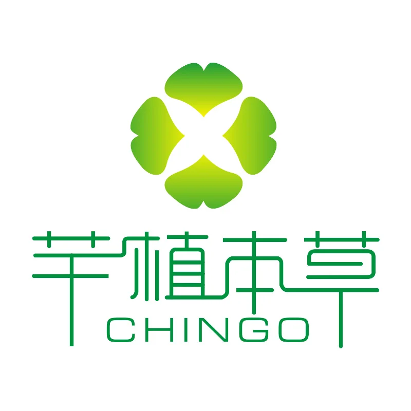 Company Overview - Guangzhou Chingo Cosmetics Co., Ltd.