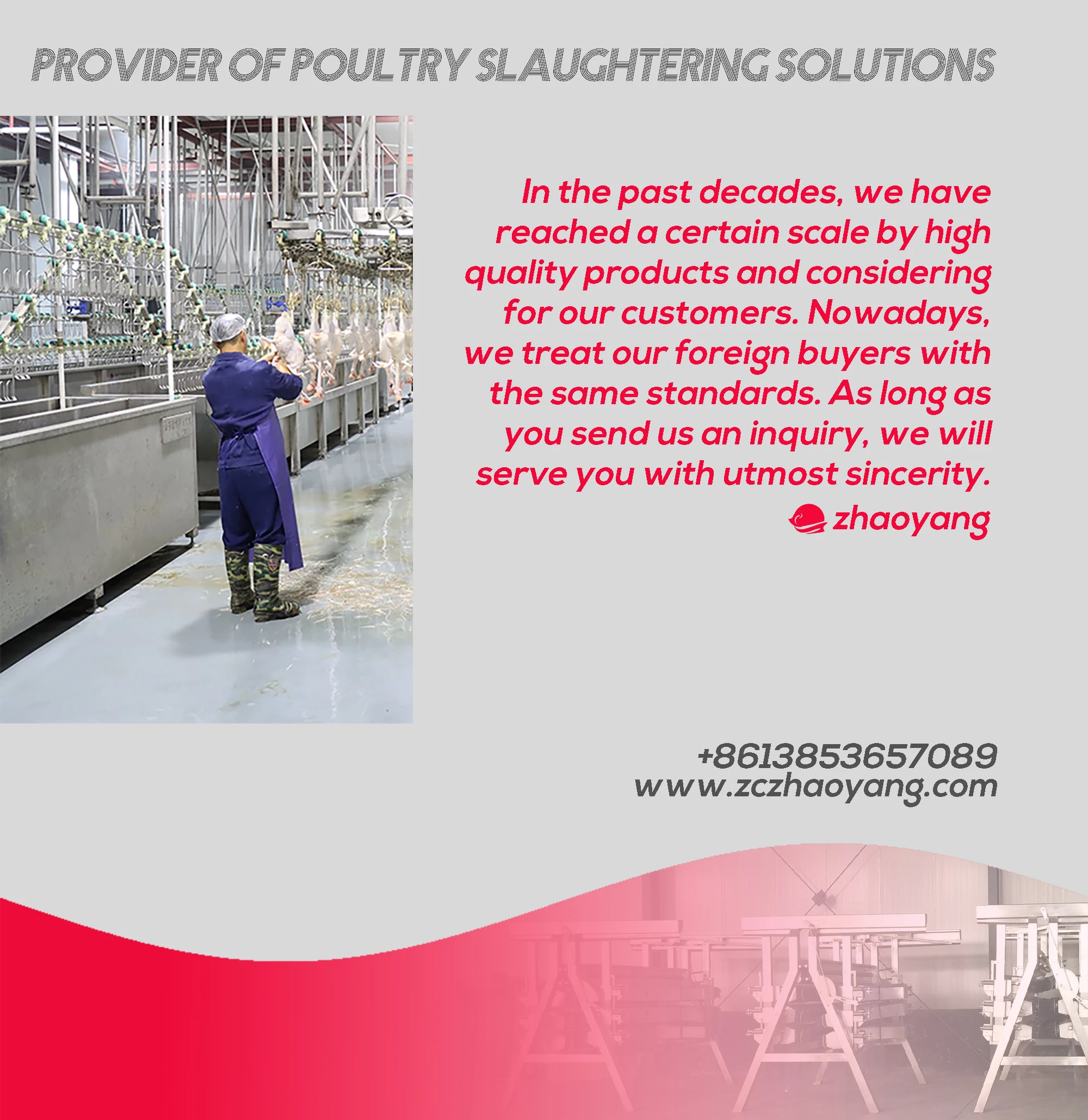 1000bph With Grader Killing Slaughter Cone Manual Chicken Slaughter ...