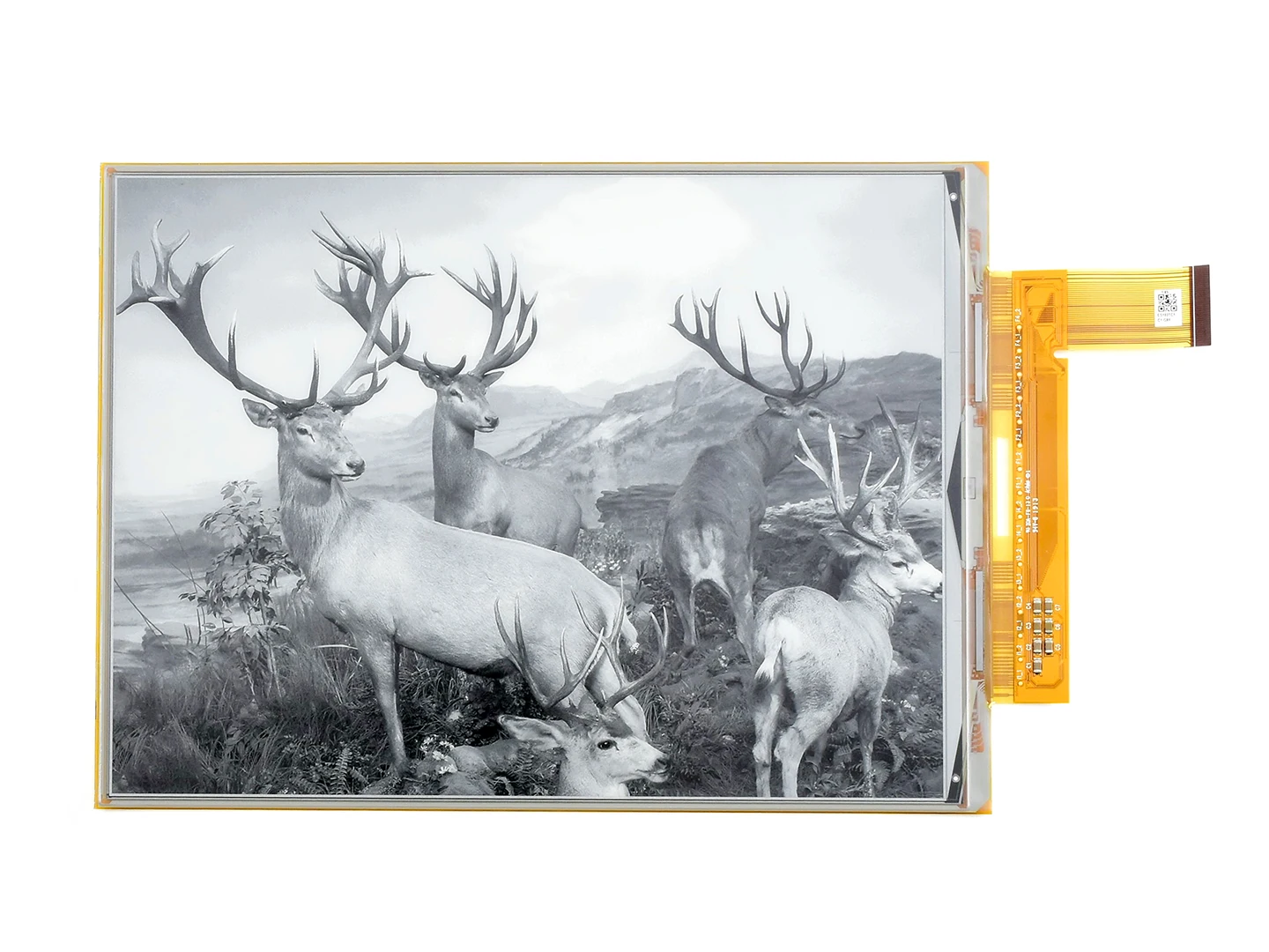 Waveshare 10.3 Inch Flexible E-ink E Paper Raw Display 1872*1404 ...