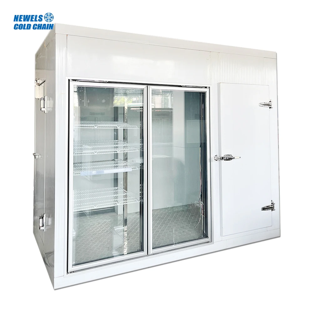 40ft container cold room walk in freezer panels 10ft by10ft ...