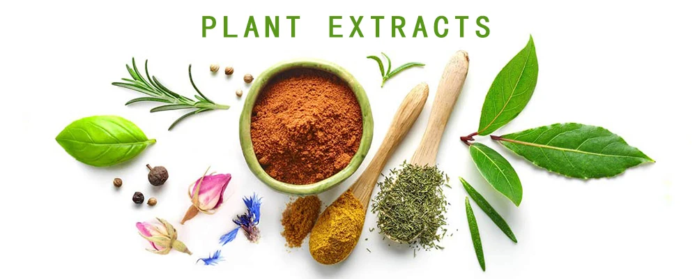 HDM Supply Antioxidant Seabuckthorn Fruit Extract Powder Seabuckthorn ...