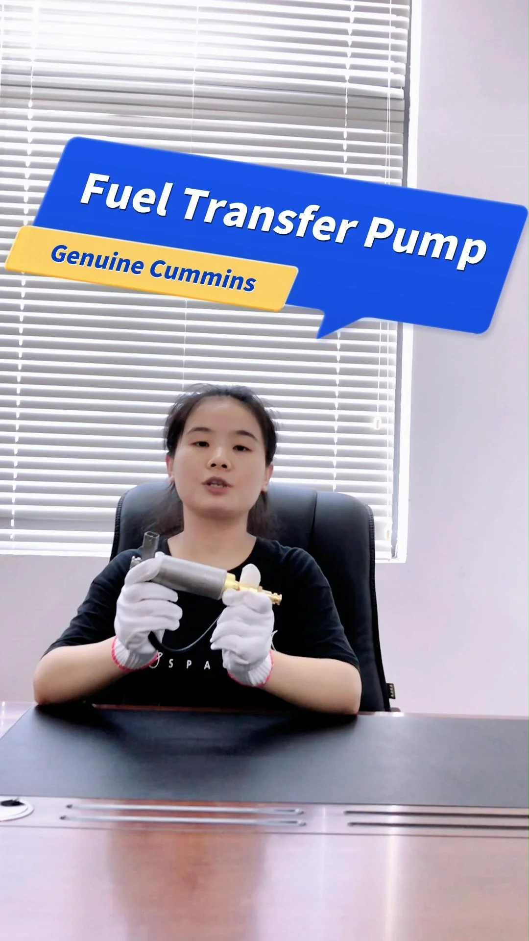 Cummins Engine Parts Qst30 Fuel Transfer Pump 4295249 4975518 4975617 ...