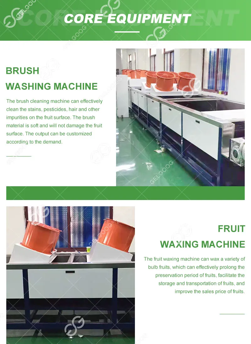 Fruit Vegetable Wash Peeling Machine Pitaya Dragon Fruit Washing Line Sort Fruit Washing Sorting ...