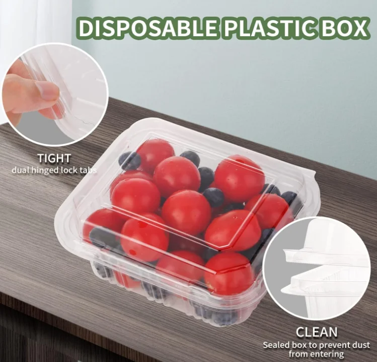 Rectangle Plastic Boxes For Disposable Cheese Cake To-go Pet/pp/pvc ...