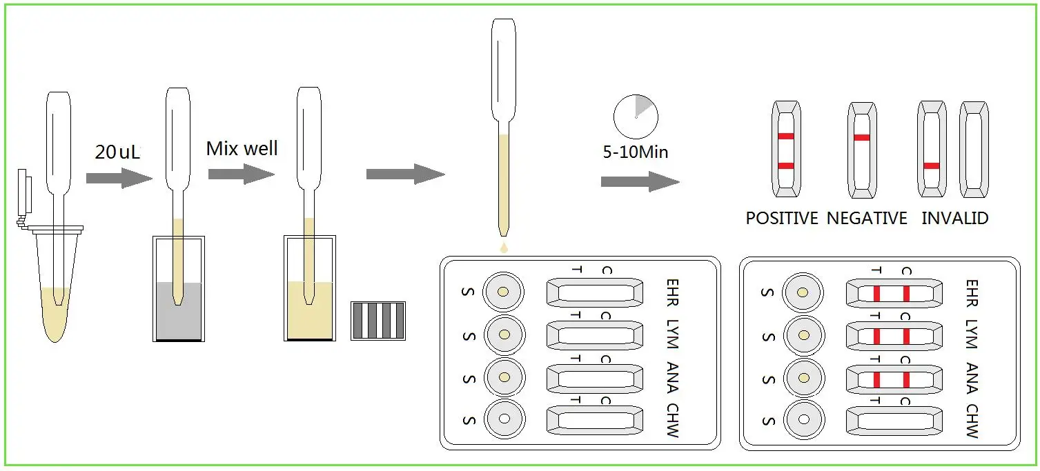 A Pet Care Rapid Test Kit Feline Cat Canine Fip Fcov Ehr Ccv Y Cdv Cpv ...