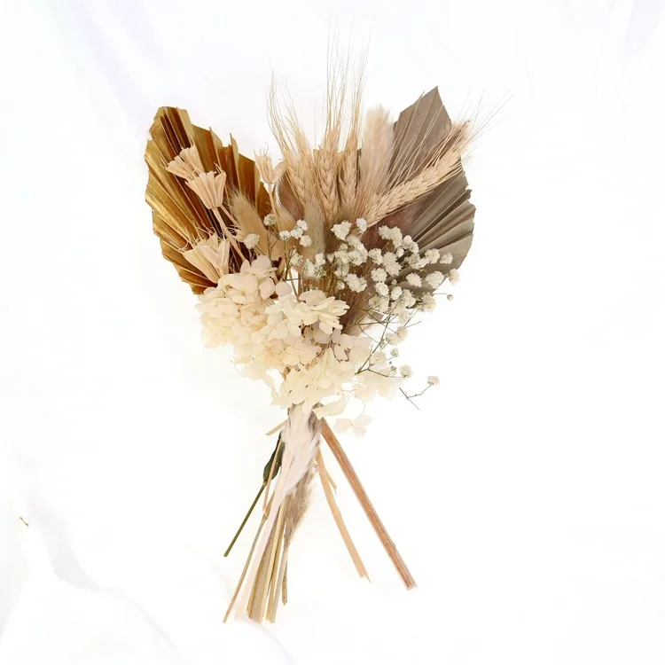 Pampas Grass Real Natural Pampas Grass Dried Flower Decor Pompous ...