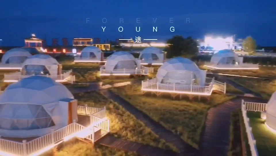 6m Transparent Dome Tent Geodesic Outdoor Camping Dome Tent For ...