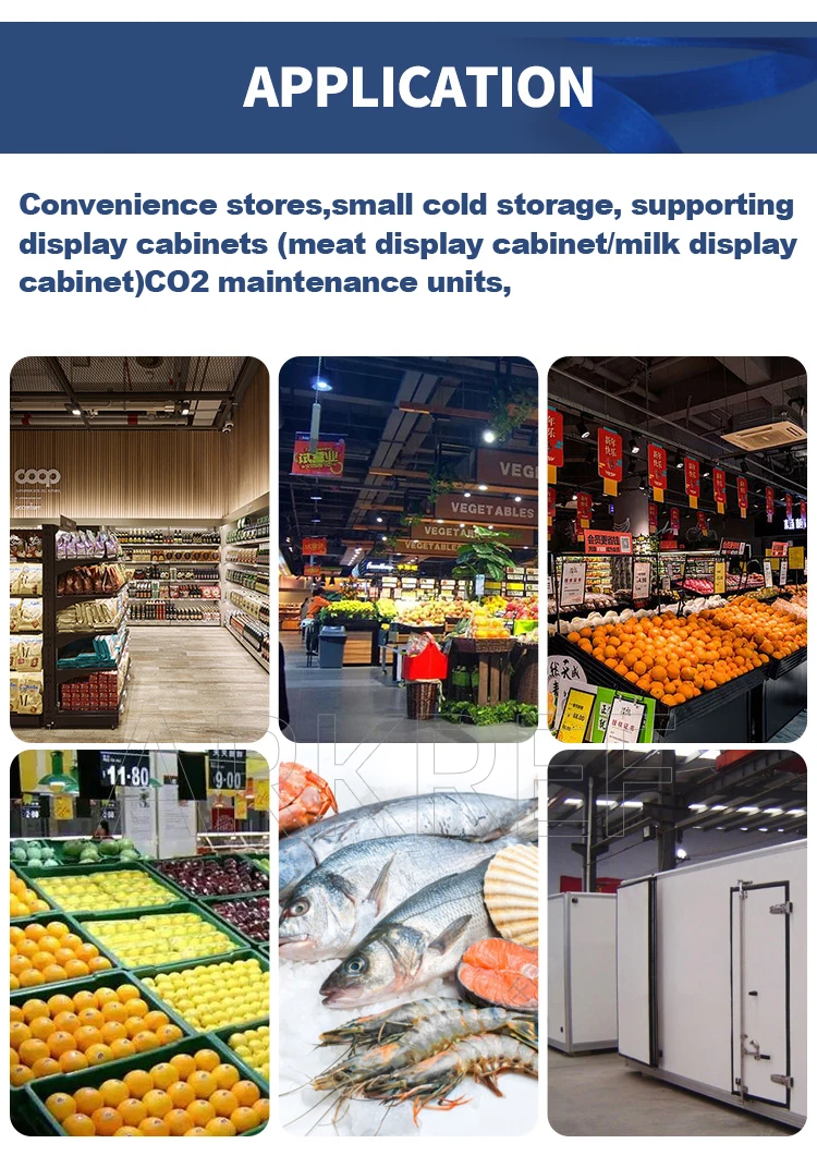 ARKREF Cold Room Storage Supermarket Warehouse 3hp 6hp 8hp Save Energy ...