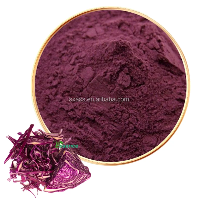 Pure Anthocyanin Powder Red Cabbage Extract Anthocyanin 25% Red Cabbage ...