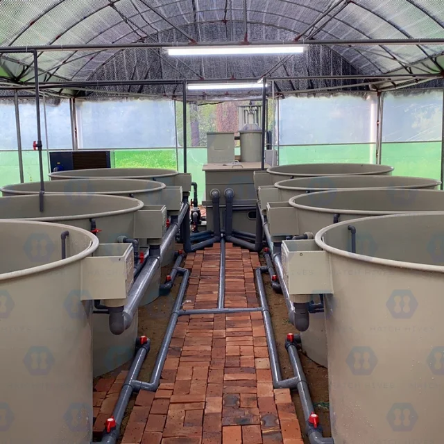 Top-tier Ras System Technology Recirculating Aquaculture Equipment Fish ...