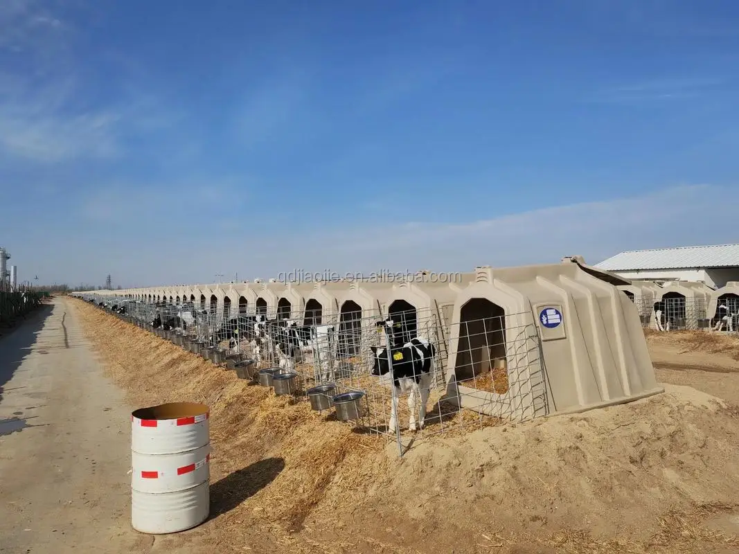 Livestock Reinforced Calf Cages - Durable & Customizable
