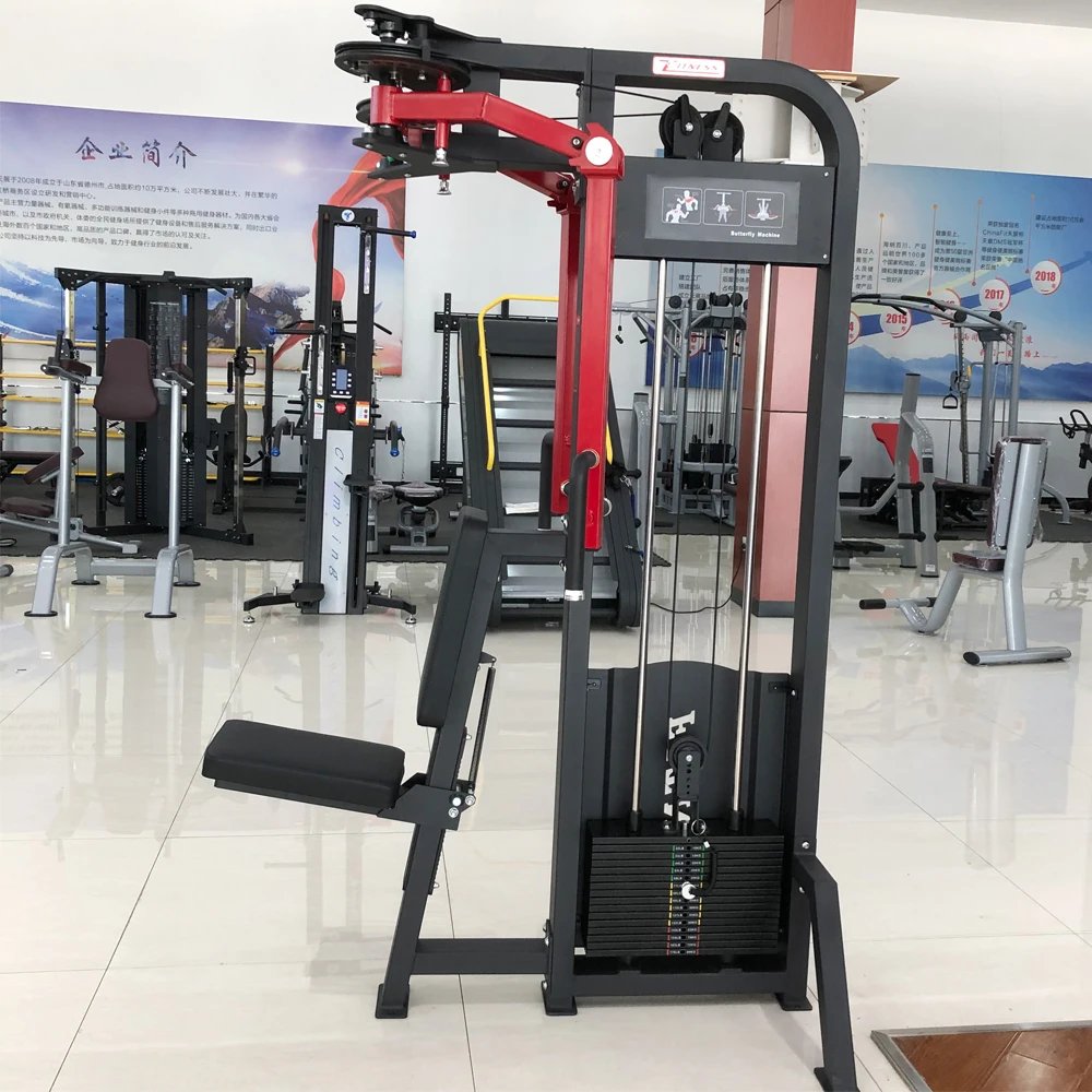 Dual Function Pin Loaded Gym Equipment Pec Fly /pec Deck Machine - Buy ...