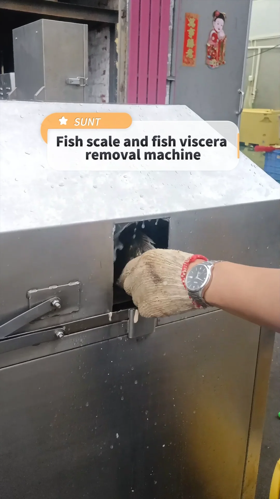 Multifunction Automatic Tilapia Fish Scale Scaling Gutting Descaling ...