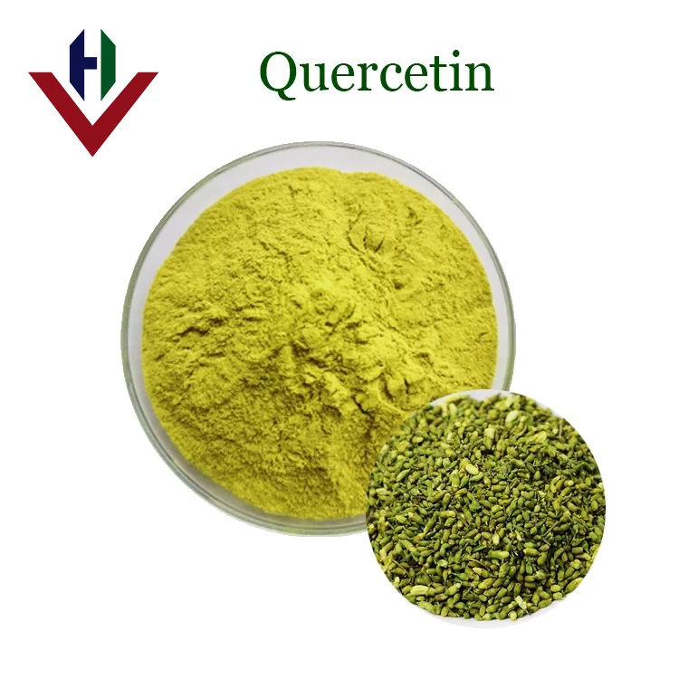 High Quality Sophora Japonica Extract Liposomal Quercetin 60% Quercetin Powder - Buy Quercetin ...