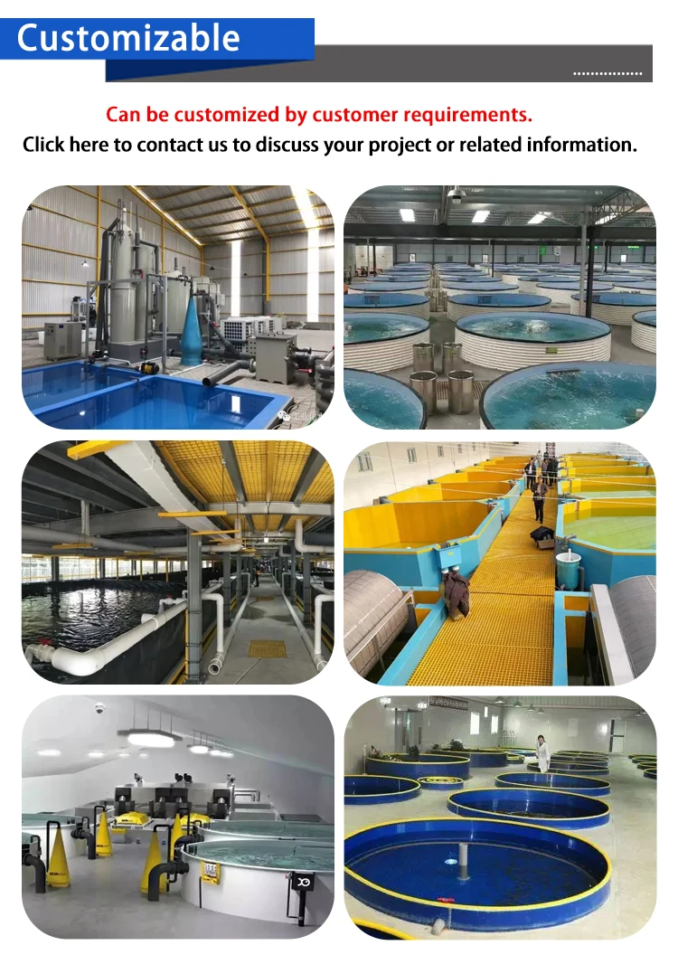 Pisciculture Ras System Fishing Aquaculture Tanks Rotary Drum Filter ...