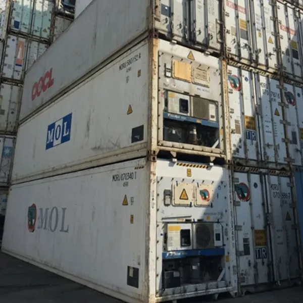 40ft Reefer Container with Carrier Microlink-3 Machine