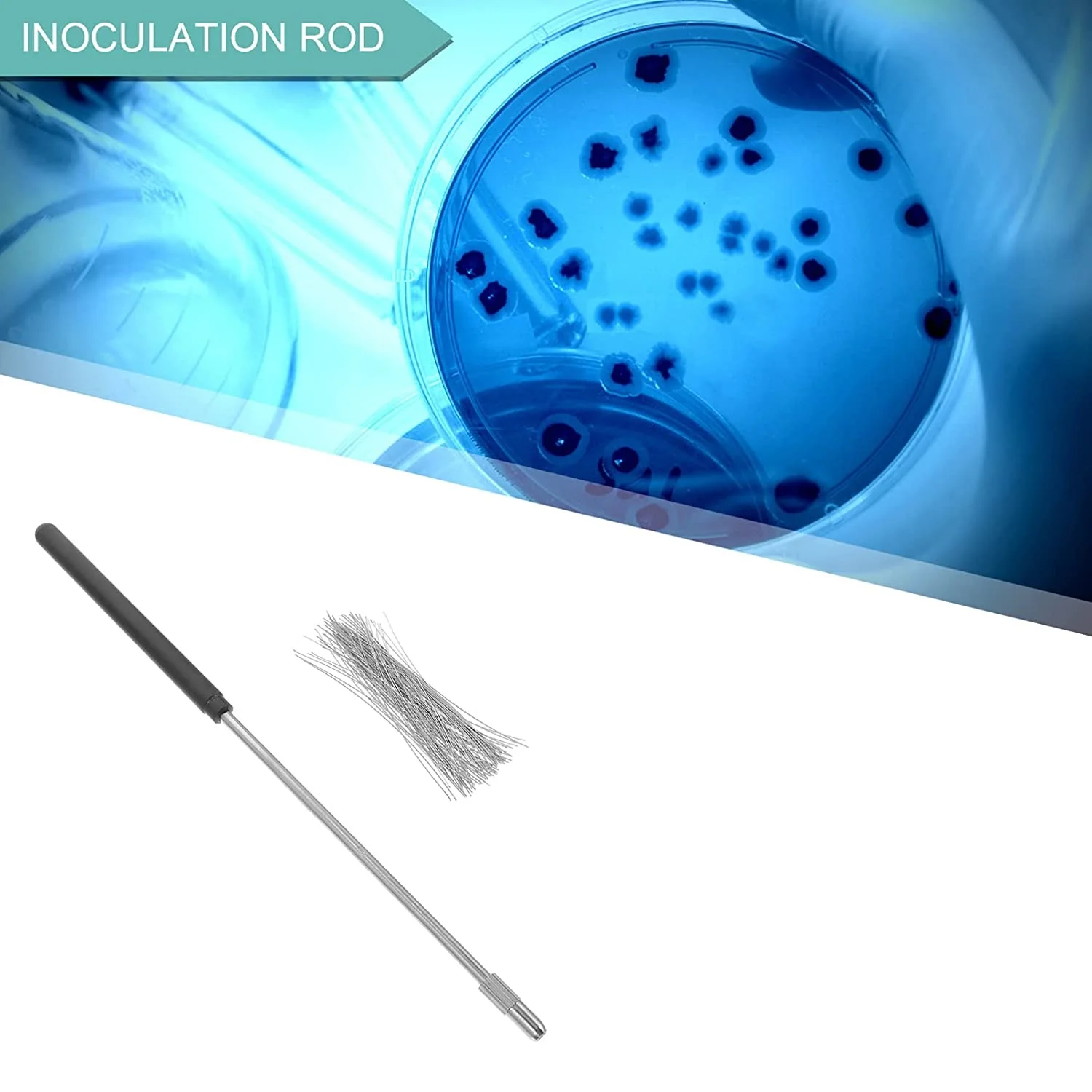 Stainless Steel Reusable Inoculating Loop & Needle - OEM | Wholesale