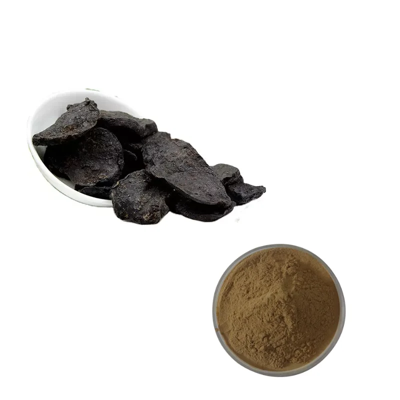 High Quality Tuber Fleece Flower Root/fo-ti / Radix Polygoni Multiflori ...