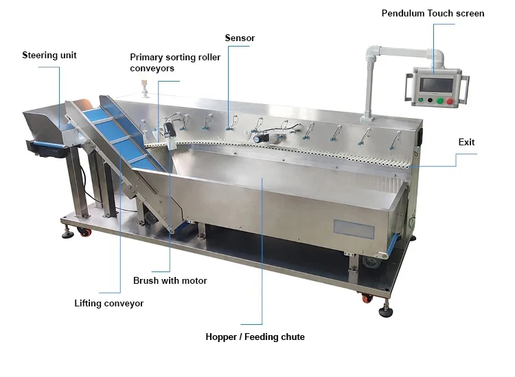 HANNPRO Automatic Conveyor Belt Sachet Sorter - 2 Years Warranty
