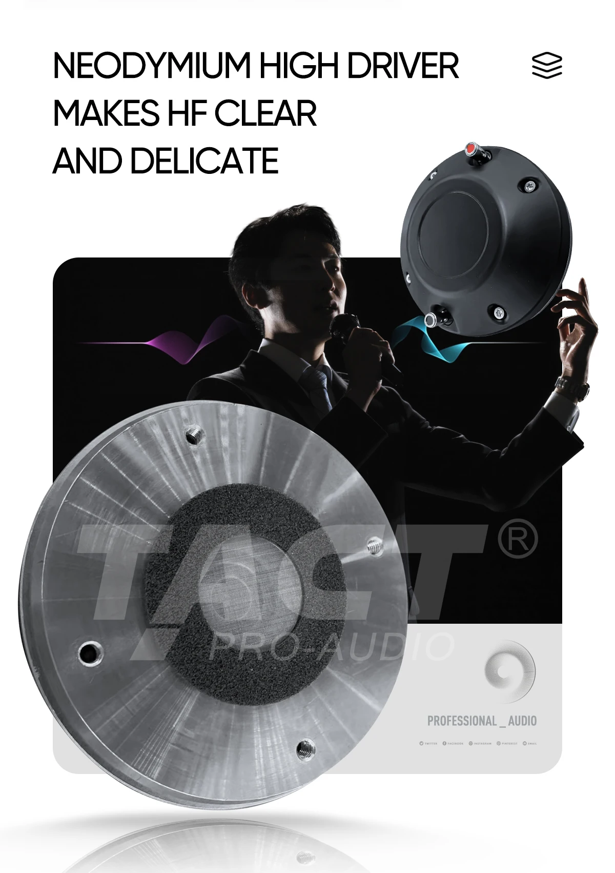 TACT Dual 12 Inch 3-Way Line Array Speaker - Outdoor Pro Sound