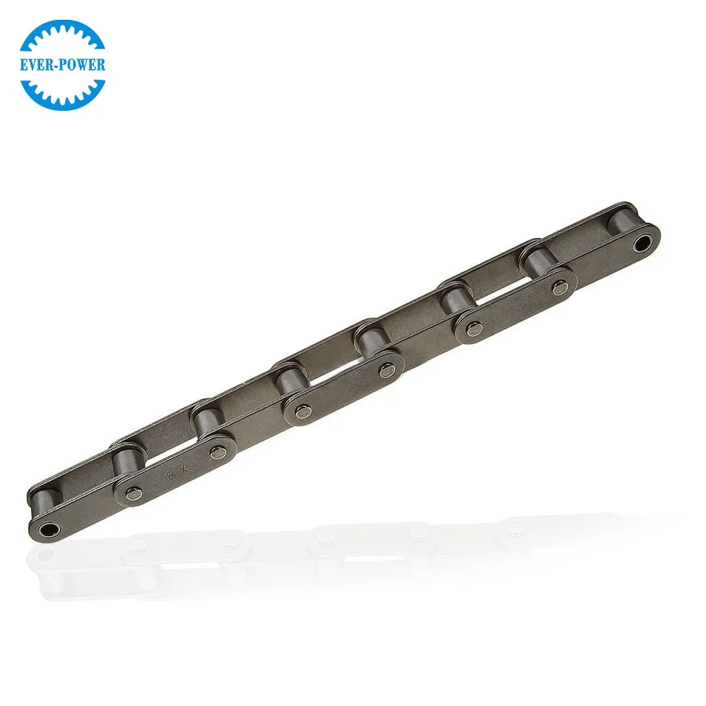 Stainless Steel Double Pitch Roller Chains C2040SS C2042SS C2040HSS ...