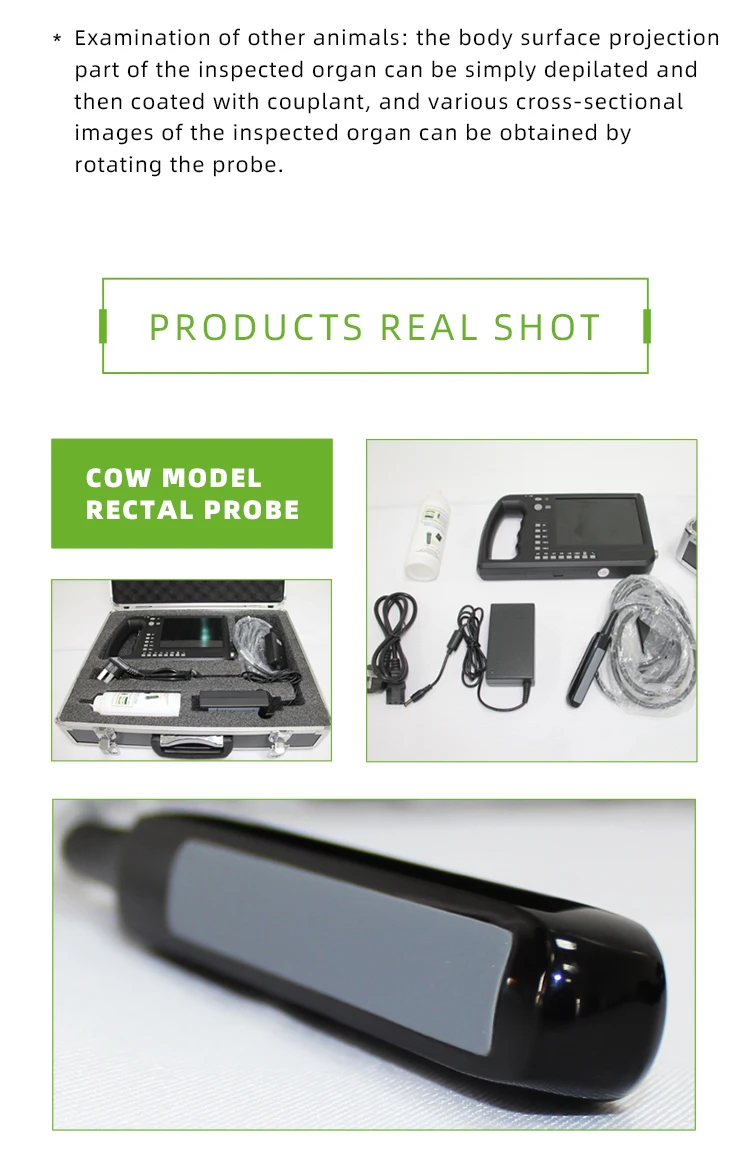 Veterinary Sonar Scanner Horse Ultrasound Pregnancy Tester 7 Inch LCD ...