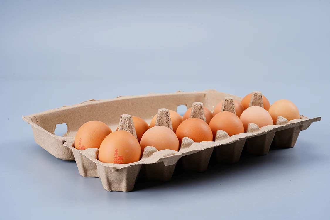 High Quality 12 Cells Egg Cartons Compostable Chicken Cardboard Holder ...