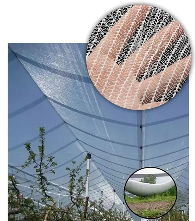 New Design Virgin Hdpe Agriculture Anti Hail Guard Protection Mesh Net ...