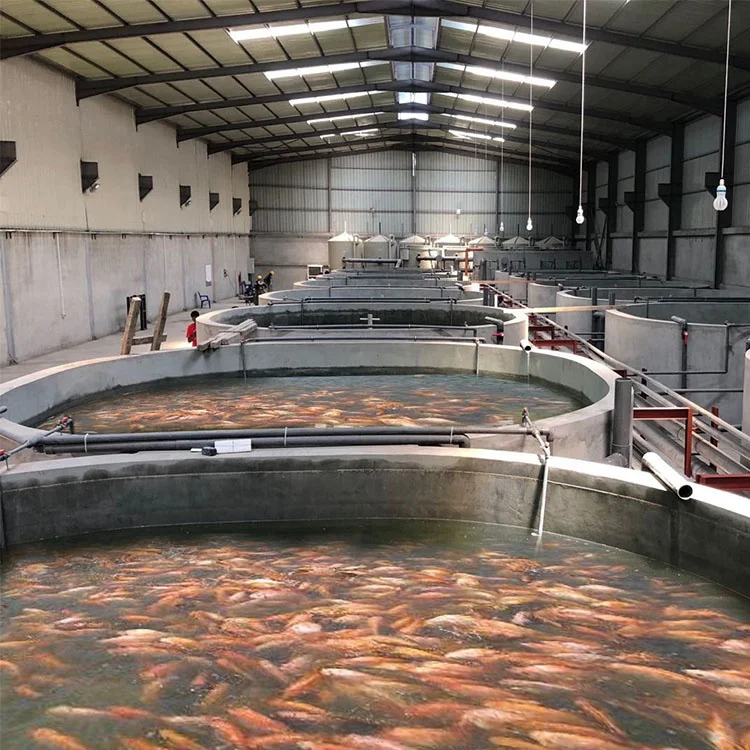 Indoor Aquaculture System for Small Fish Farms in Thailand