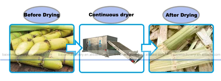 Efficient Large Output Continuous Sugarcane Dryer Bagasse Dehydrator