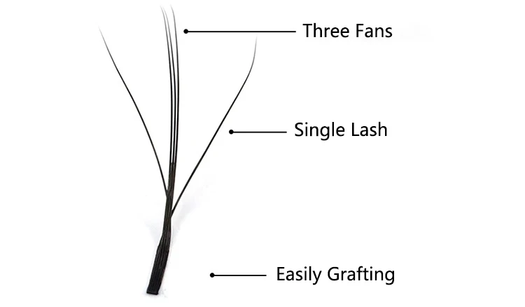 New Style W Shape 3d Ww Lash Extension Individual Eyelash New 5d W ...