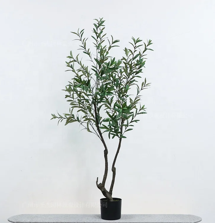 Potted Feng Shui Lucky Tree - Ornamental Boxwood Topiary