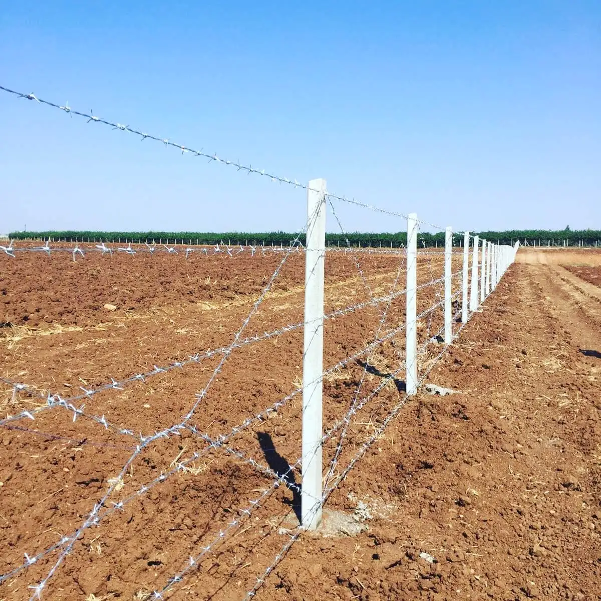 Steel 50kg Barbed Wire Price of Barb Wire 1.57mm X 500m Zimbabwe 12.5 ...