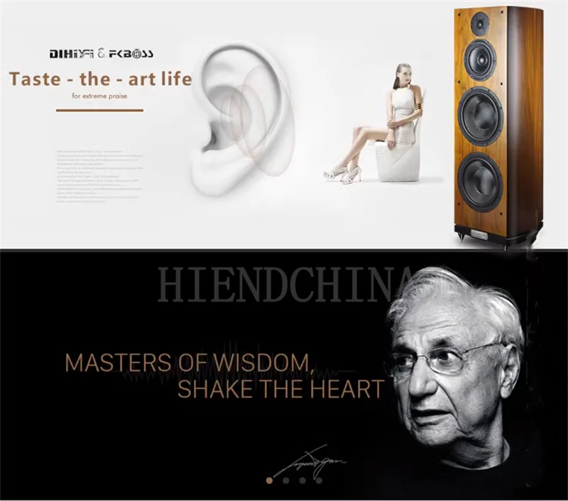 DHY-04 Dual 10 Inch Wood Passive Loudspeakers - 300W Power