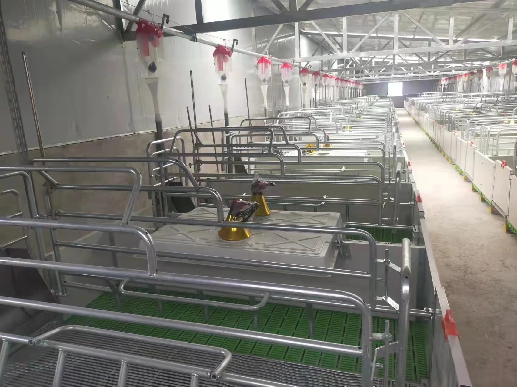 High Quality Pig Farrowing Stalls Pig Bed Sow Birthing Pen For Sale ...