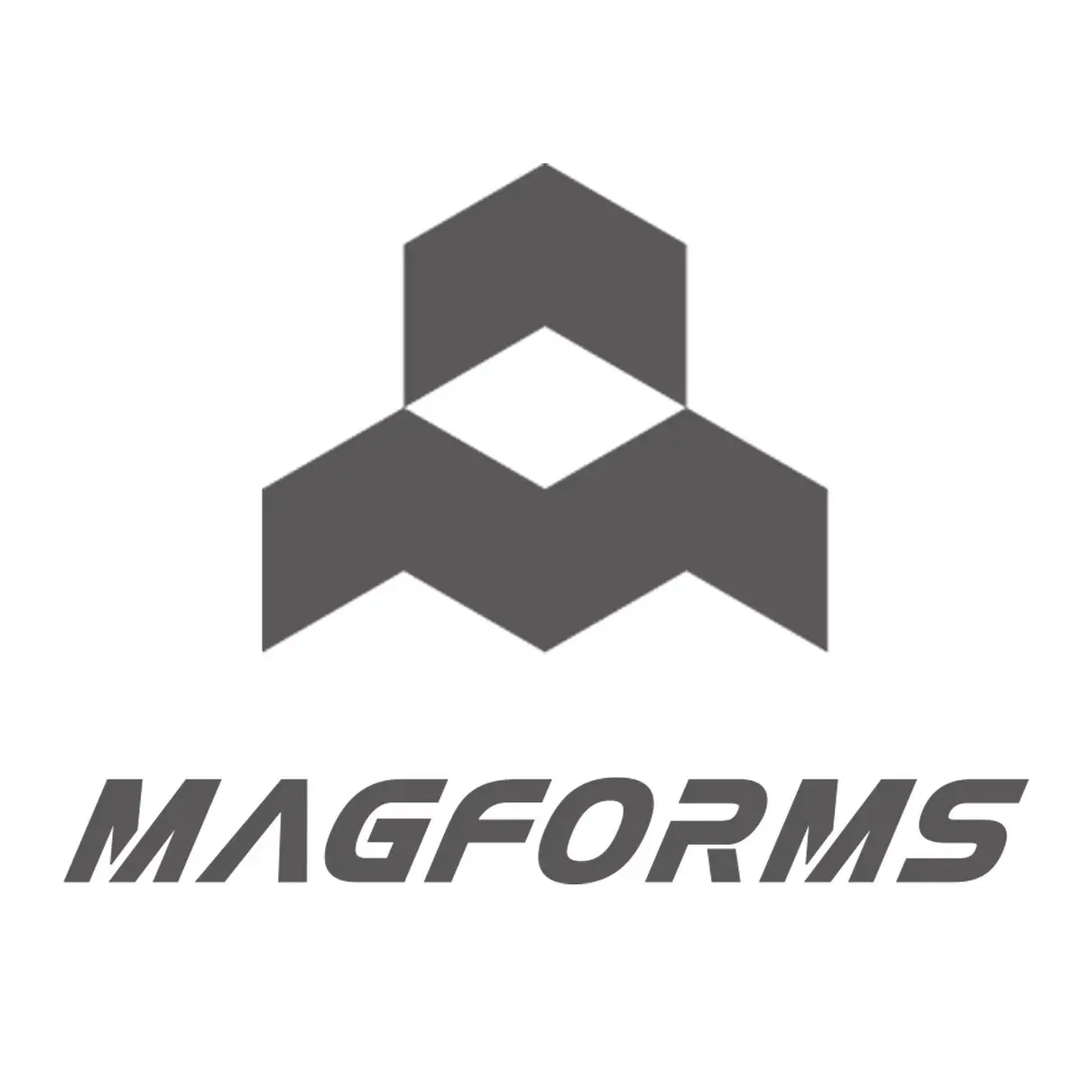 Company Overview - Magforms Technology Co., Ltd.