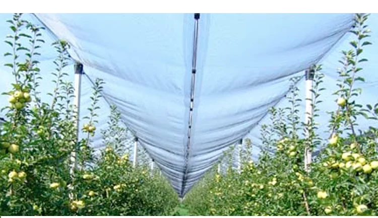 Wholesale Durable Anti-hail Garden Net Strong Woven Fabric Anti Hail ...