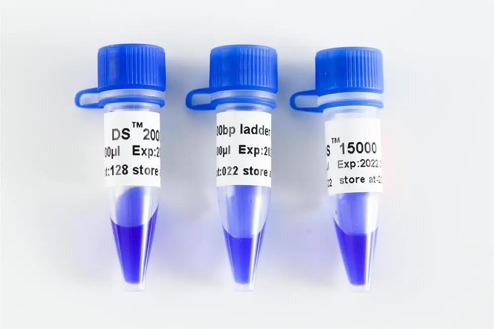 50bp DNA Ladder Plus DNA Marker - High Purity Reagents