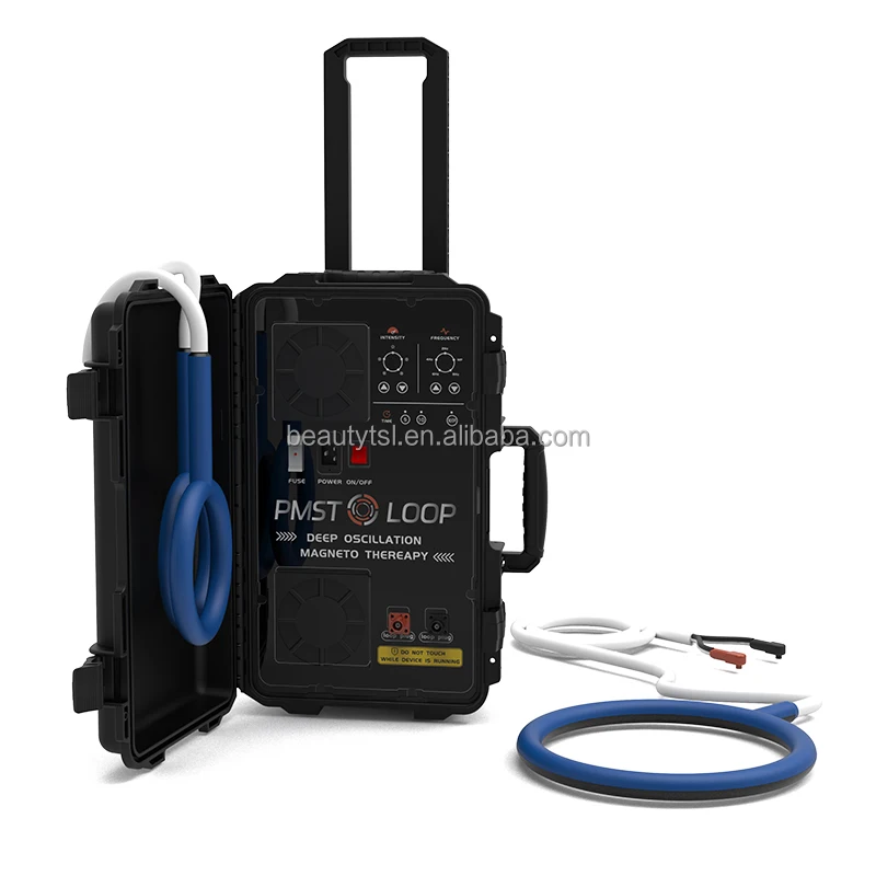 Pemf Therapy Physio Equipment Pemf Horse Pmst Loop With X-wing Double ...