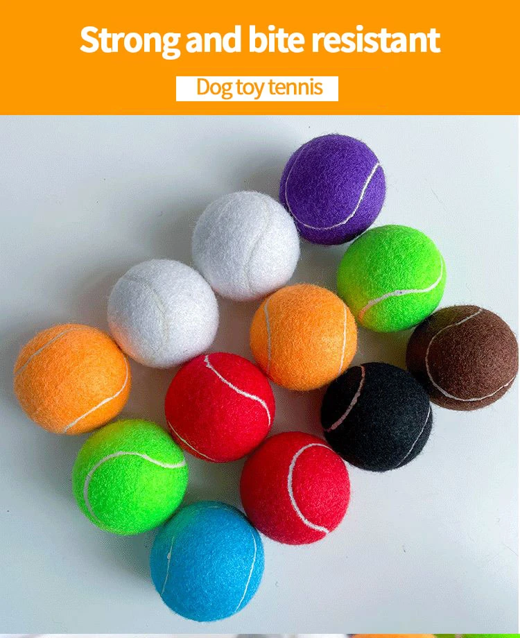 Customized Logo Pet Tennis Balls - Durable & Interactive
