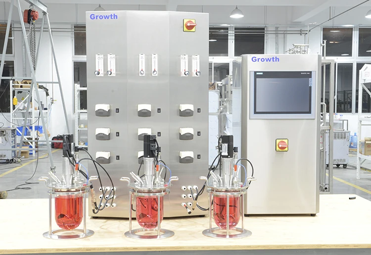 2L Laboratory Fermentation Extraction Hyaluronic Acids