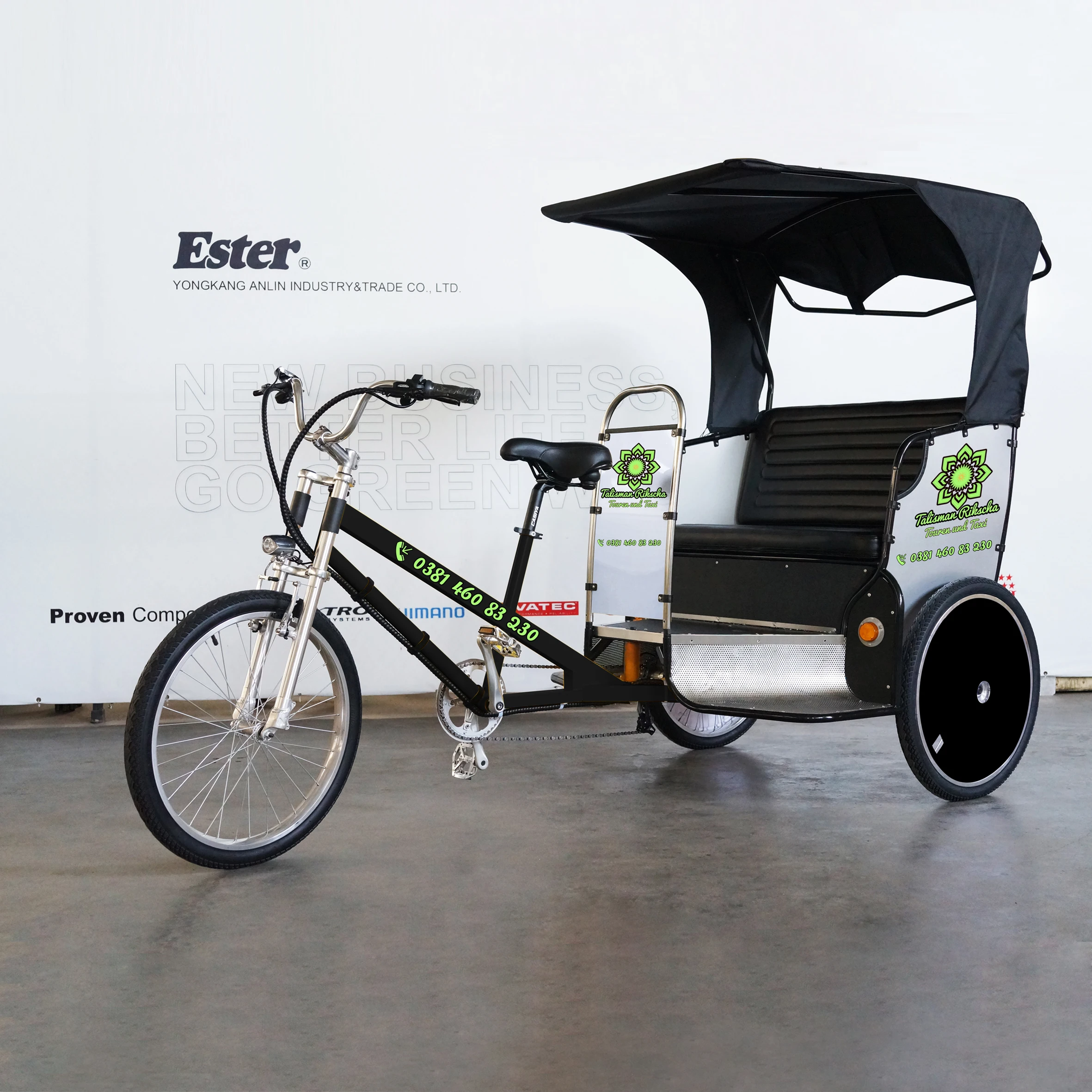Ester Pedicab Electric Rickshaw/battery Rickshaw,Adult Pedal Tricycle ...