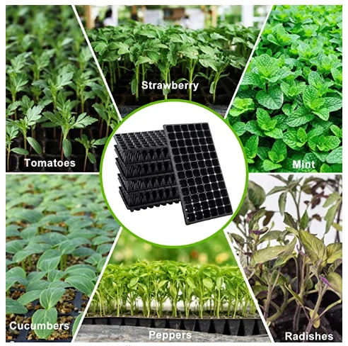 Wholesale 72holes Seedling-Raising Plate for Indoor Plants