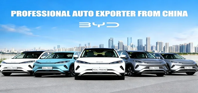 BYD D1 Long Endurance New Energy Vehicle 5-door 5-seater MPV 5 Doors ...