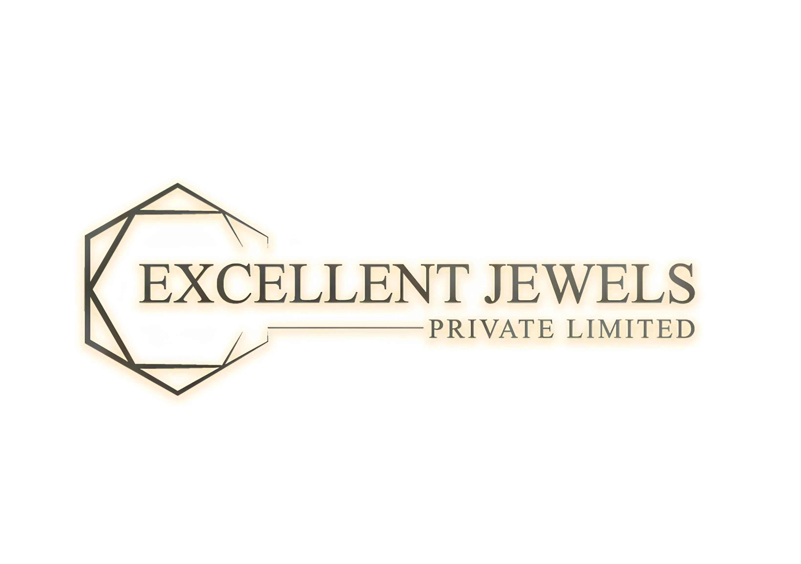 Company Overview - EXCELLENT CORPORATION
