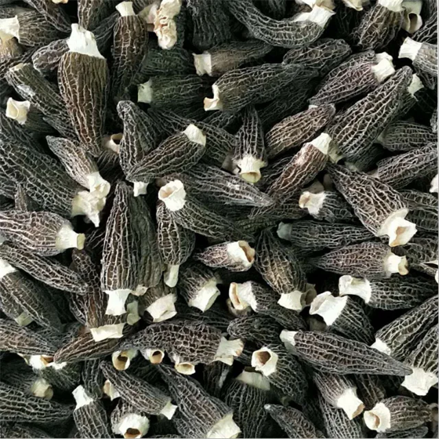 Yang Du Jun Chinese Supplier Dried Morels Morchella Conica Esculenta ...
